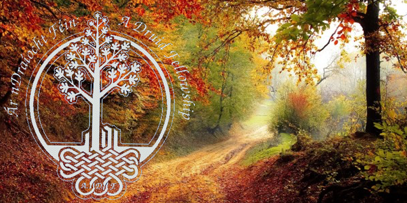 Questions From the Path – The Roman Path